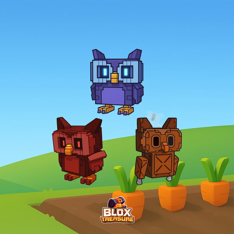 Owl Bundle – Blox Treasure